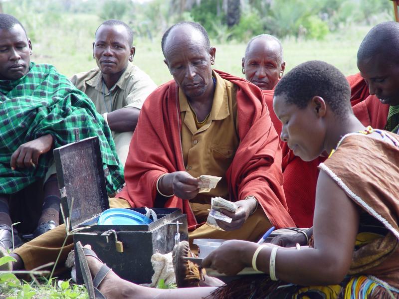 Bringing Financial Services to the Poor and Unbanked in Developing ...