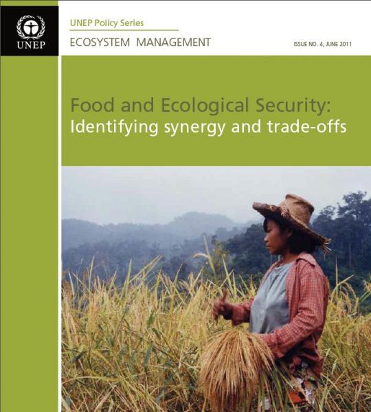 Food and Ecological Security: Identifying synergy and trade-offs ...