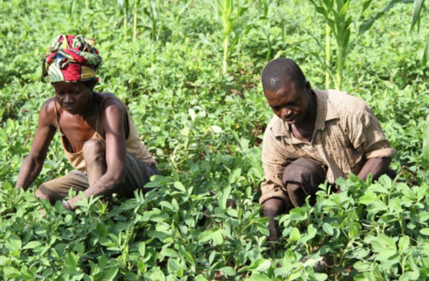 FAO publication: Empowering rural women, powering agriculture ...