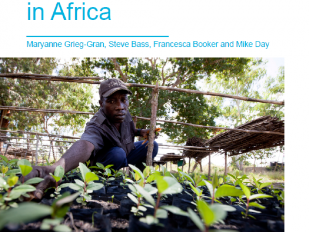 The role of forests in a green economy transformation in Africa | Capacity4dev