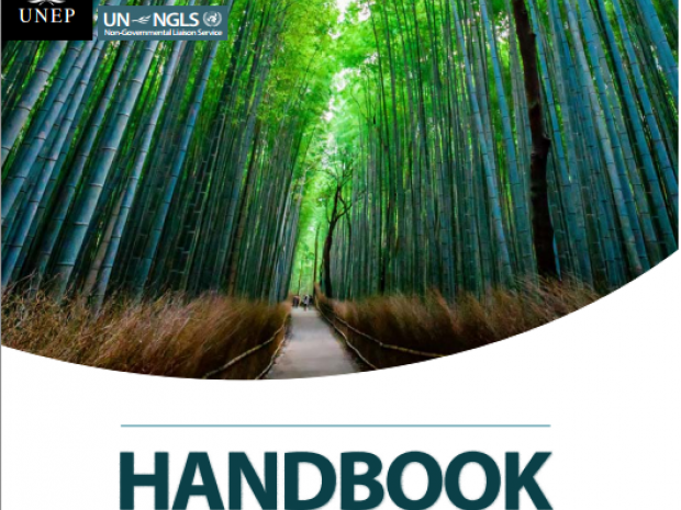 Handbook for Stakeholder Engagement at UNEP | Capacity4dev