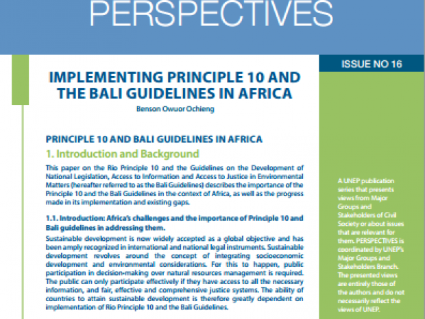 UNEP Perspective Series – Implementing Principle 10 and the Bali ...