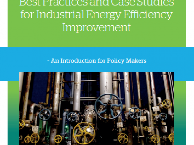Best Practices and Case Studies for Industrial Energy Efficiency ...