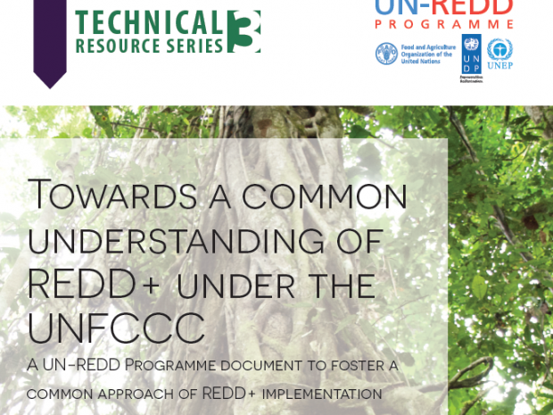 Technical Resource Series 3: Towards a Common Understanding of REDD+ ...