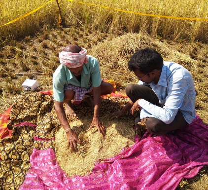 Case study: The experience of the Andhra Pradesh Community managed ...
