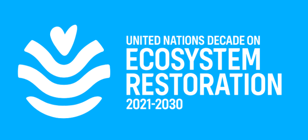 World Environment Day: Launch of the UN Decade on Ecosystem Restoration ...