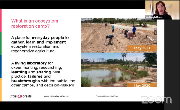 EXPERT PANEL on Cities4Forests Day: What is ecosystem restoration all about? | Capacity4dev