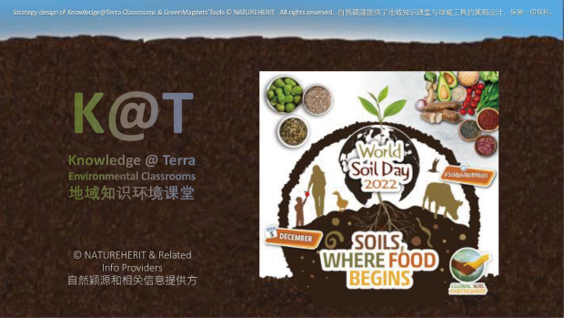 Celebrating World Soil Day: Announcement of the World Soil Day Sessions ...