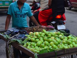 Enabling environment definition and reference to tools | Capacity4dev
