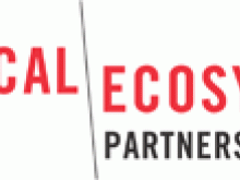 World Wildlife Day: a story from the Mediterranean biodiversity hotspot ...