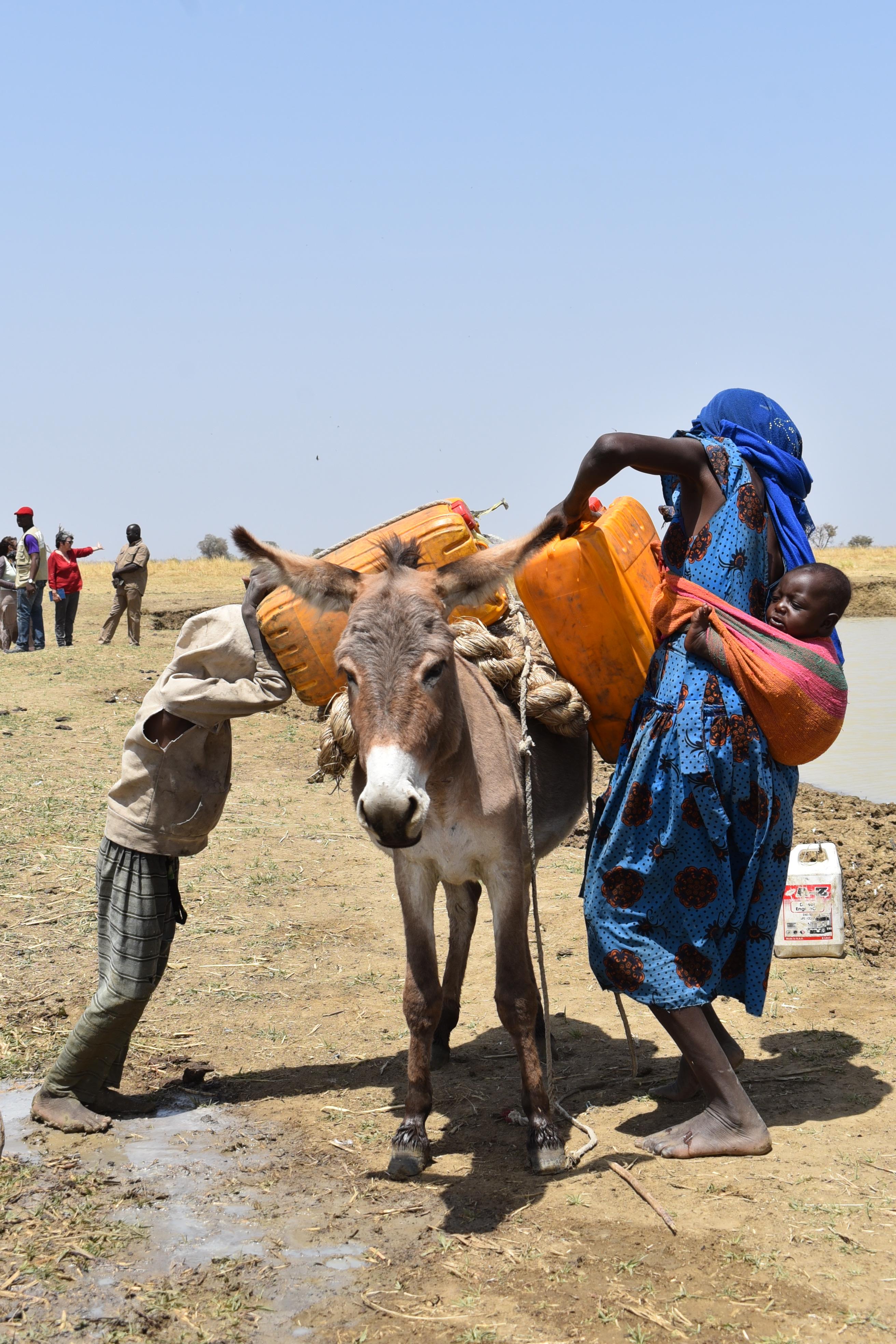 Chad: Salamat | Capacity4dev